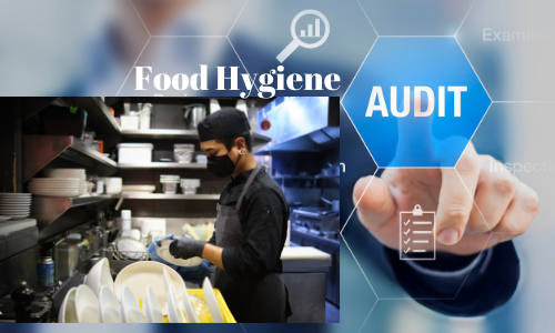 Food audit checklist